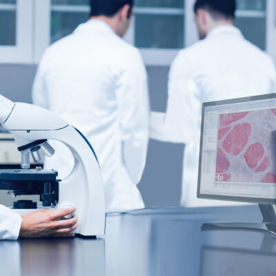 ZIS/EPD-suite - NEXUS / Nederland